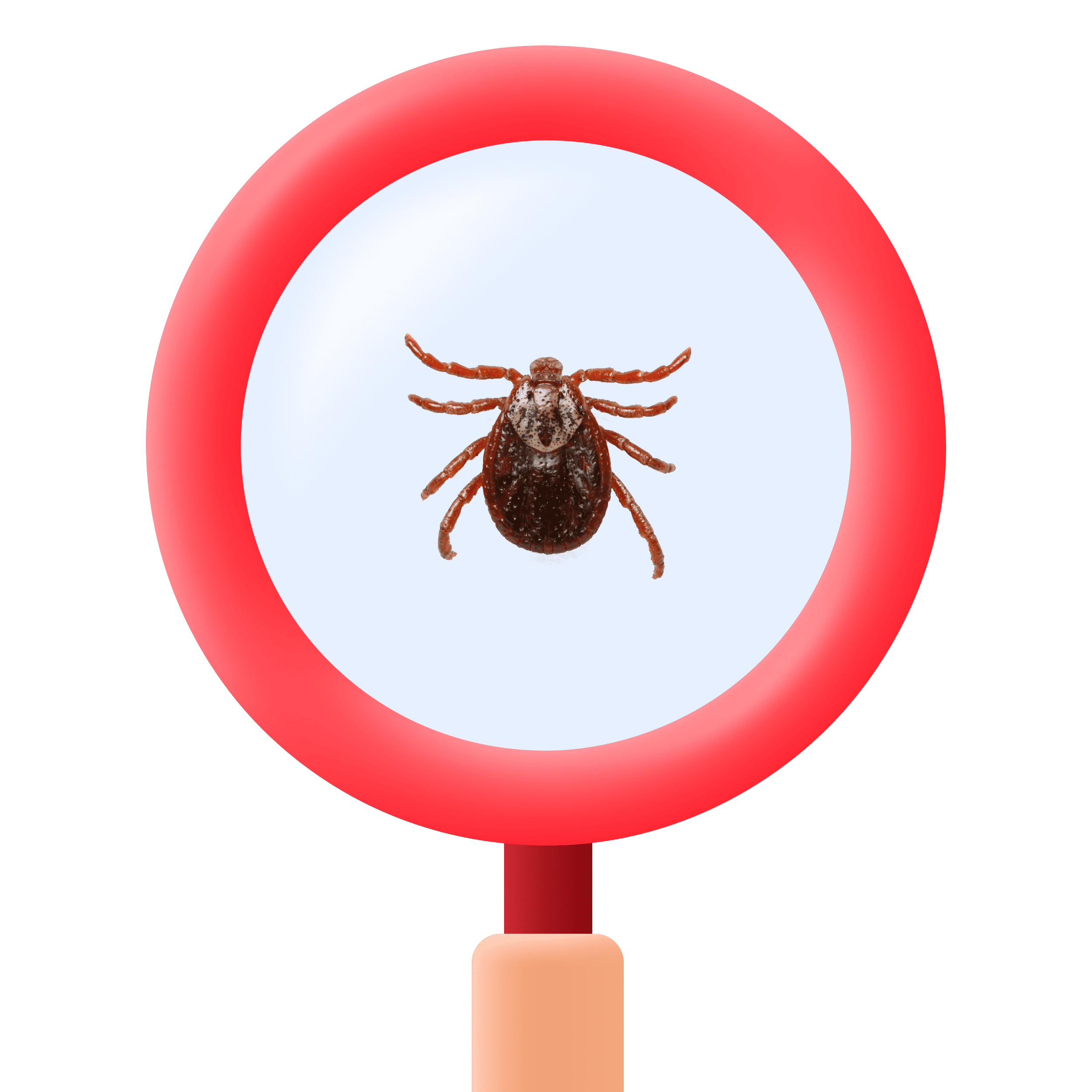 Trova Insetti | Fumakilla VAPE