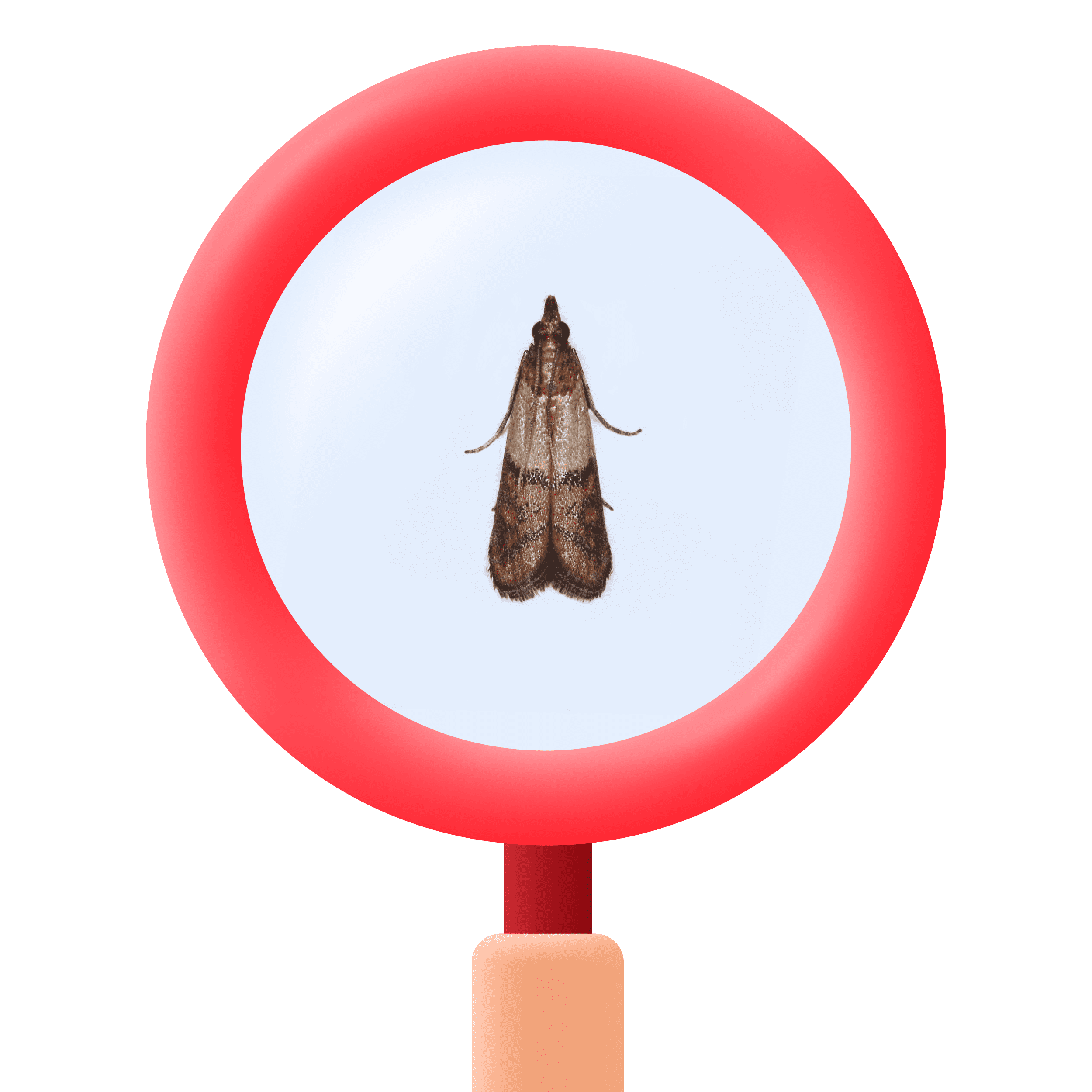 Trova Insetti | Fumakilla VAPE